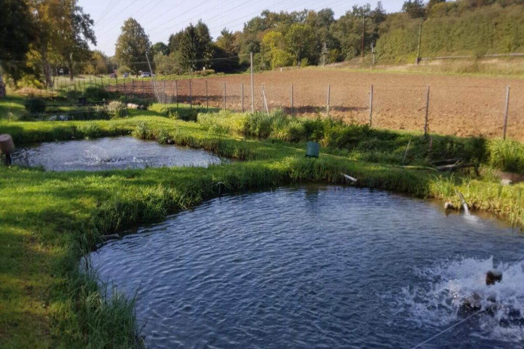 - Forellenzucht Hummel-Krüger GbR